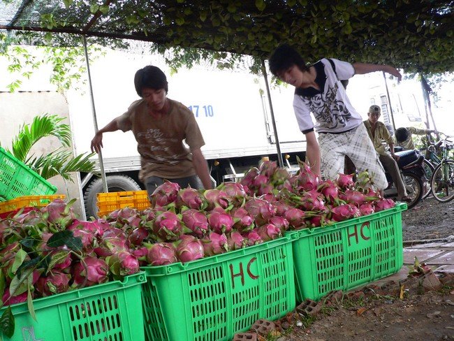 Vinafruit đặt mục tiêu xuất khẩu 1 tỉ đô la Mỹ - Tạp chí Kinh tế Sài Gòn