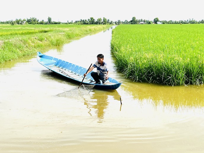 Đổi đời ở vùng đất mặn nhờ chọn... tôm 'ôm' lúa - Tạp chí Kinh tế Sài Gòn