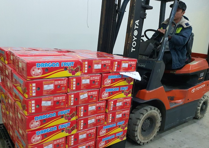 Long An vào cuộc giải quyết vụ bản quyền giống thanh long ruột đỏ cấp ...