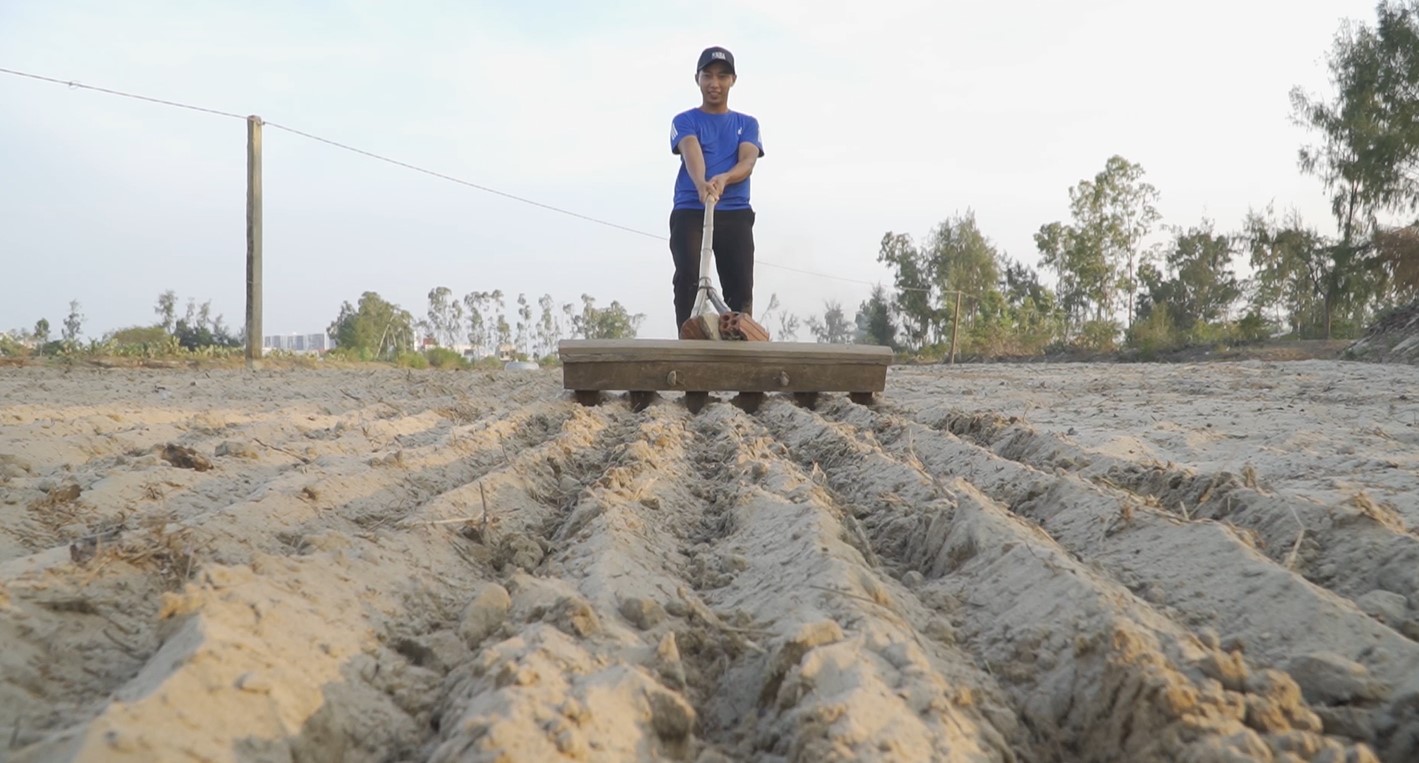 Chuyện những nông dân giữ nghề trồng lúa trên vùng đất cát - Tạp chí ...