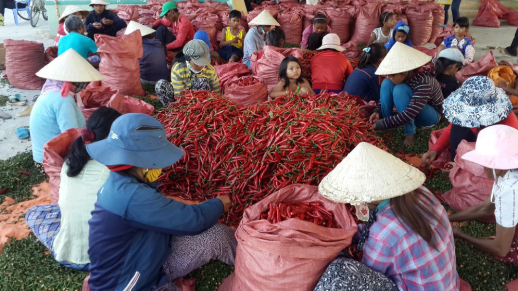 CJ Group và dấu ấn phát triển bền vững tại Việt Nam - Tạp chí Kinh tế ...